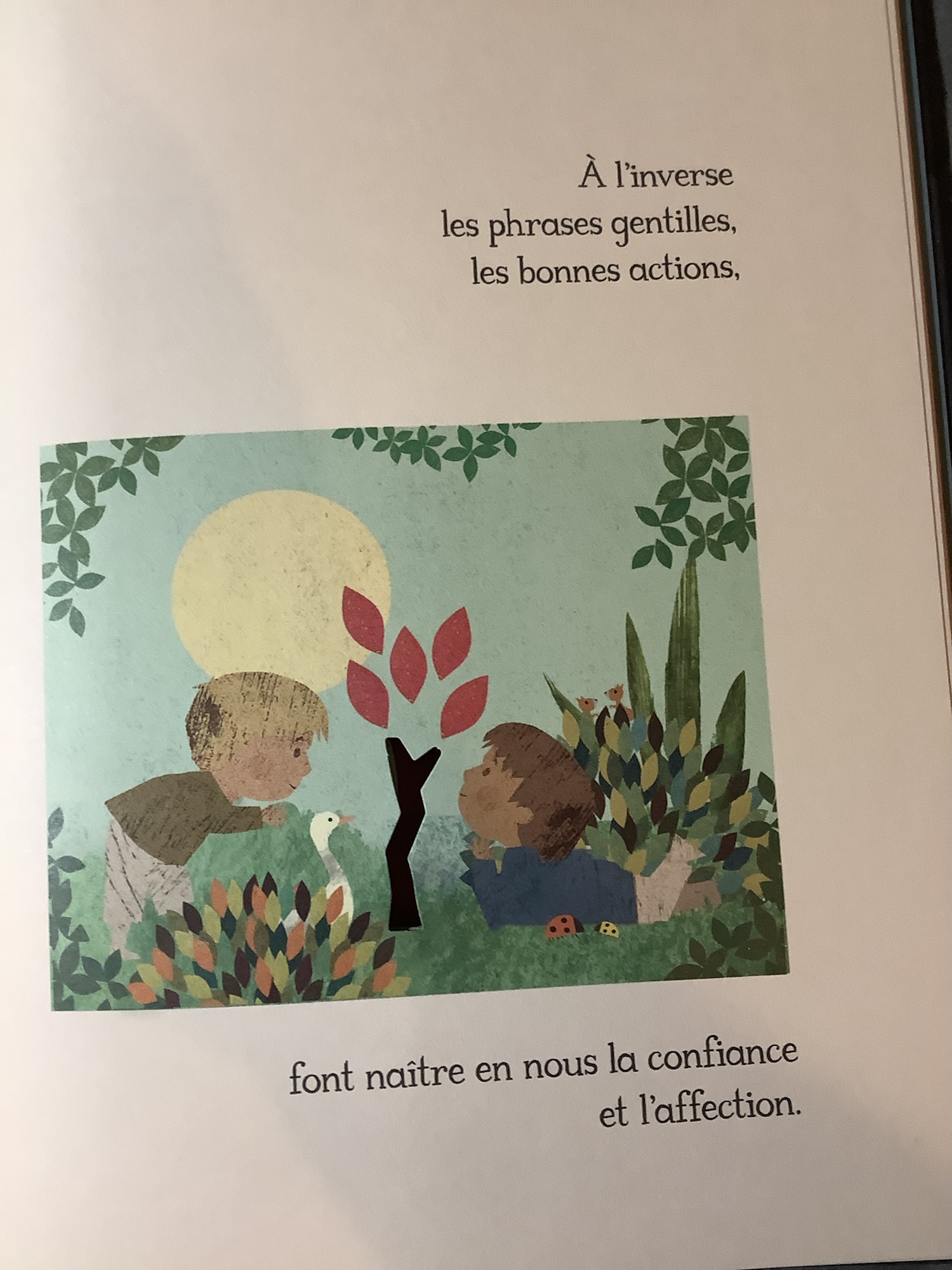 L’arbre de la gentillesse – Les fourmis empathiques